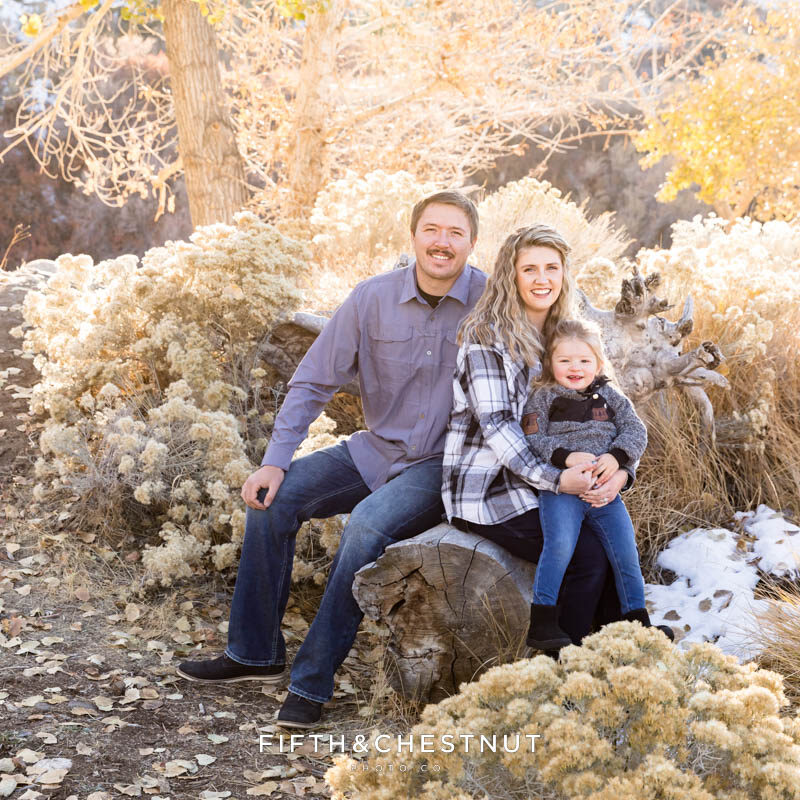 Family Archives - Fifth and Chestnut